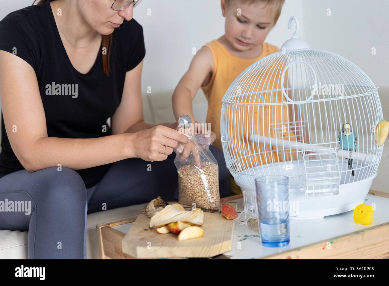 Mother and son preparing food for pet budgie bird in cage Stock Photo ...
