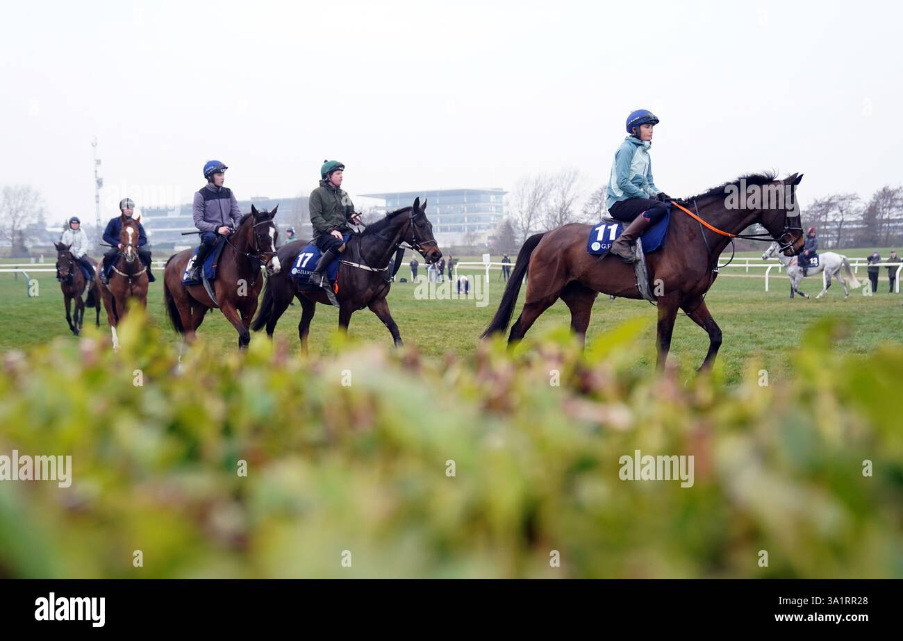 Gordon Elliott trained horses on the gallops at Cheltenham Racecourse ...