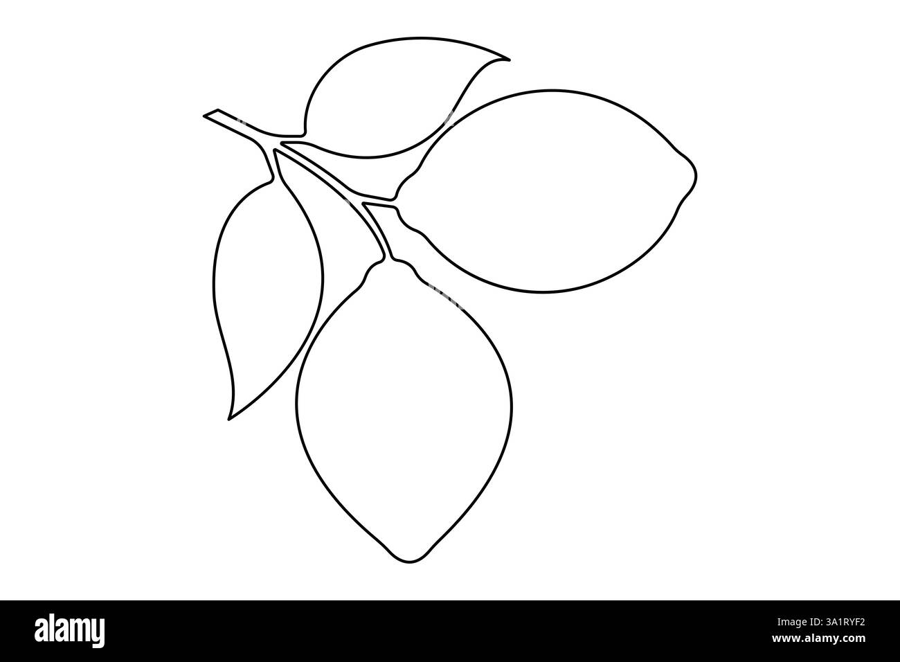 Lemon continuous one single line art drawing of organic healthy fruit ...