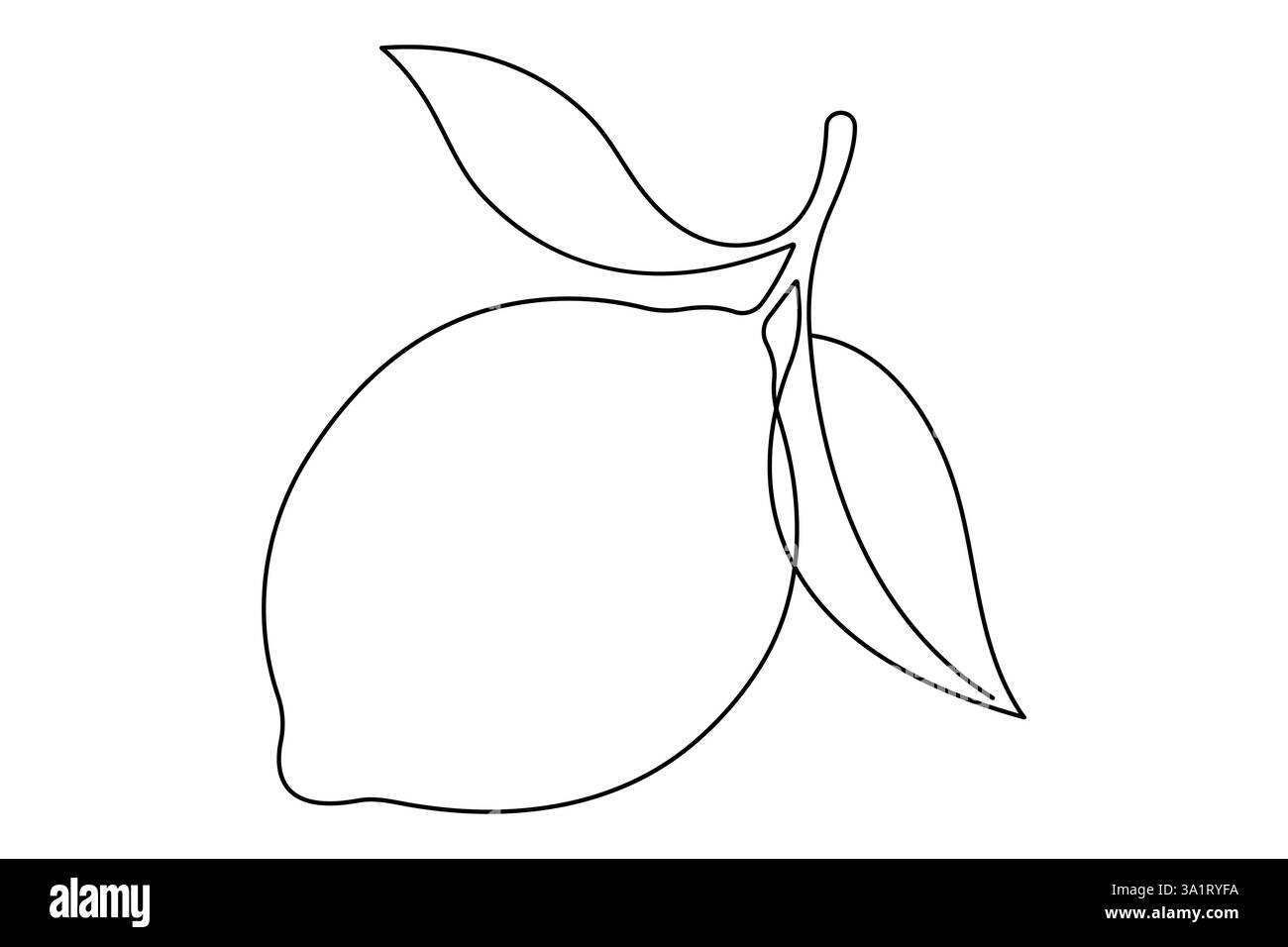 Lemon continuous one single line art drawing of organic healthy fruit ...