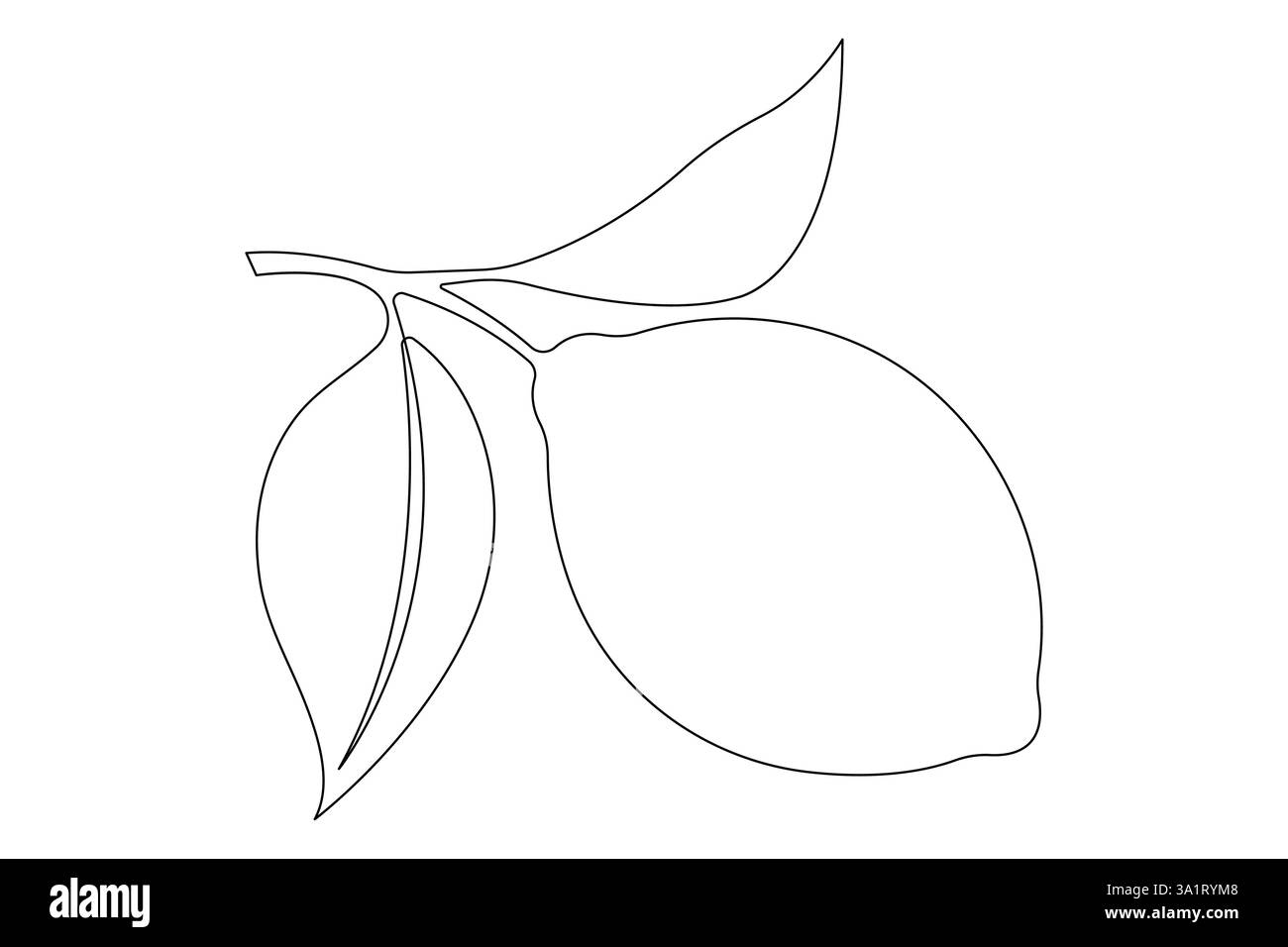 Lemon continuous one single line art drawing of organic healthy fruit ...