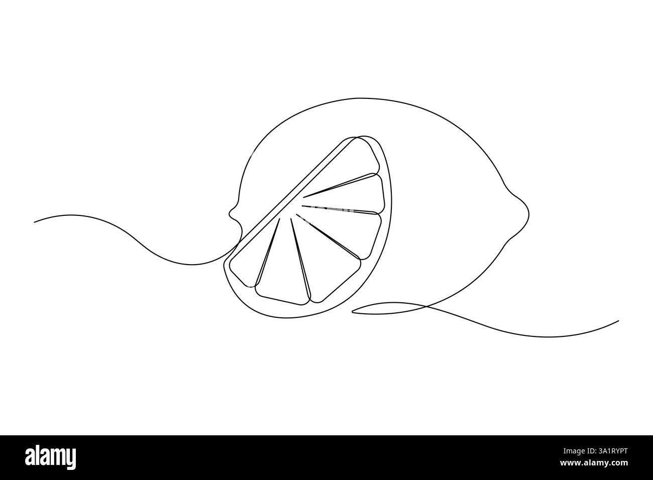 Lemon continuous one single line art drawing of organic healthy fruit ...