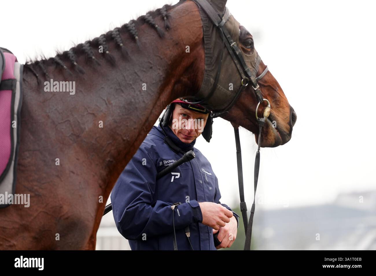 Jockey Paul Townend with Kopek Des Bordes on the gallops at Cheltenham ...