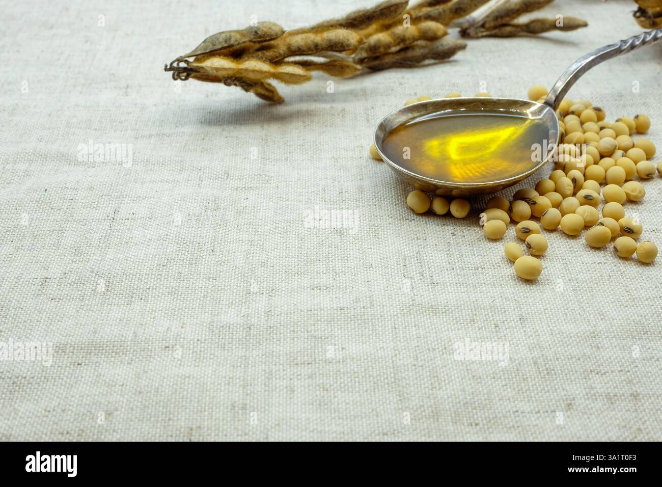Soybean Oil in the Spoon. Scattered Soybeans and Dry Plant Pods. Linen Surface. Copy Space ...
