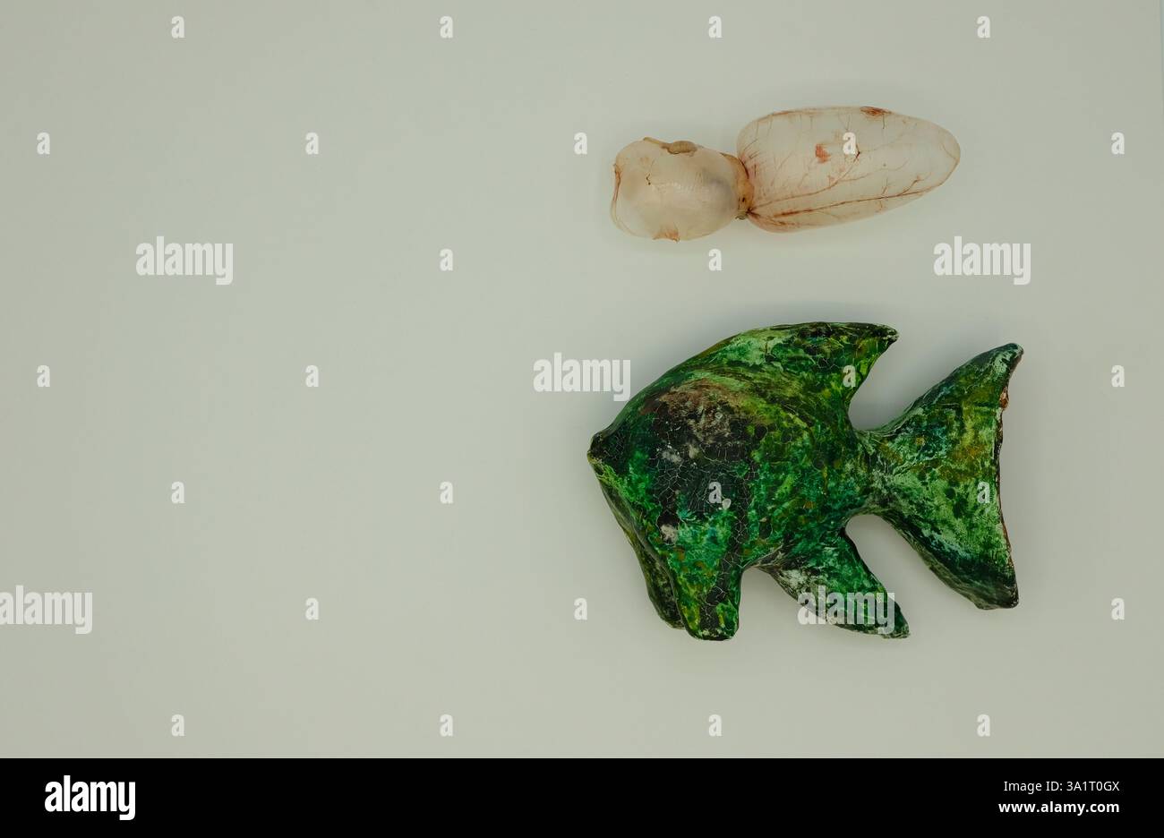 Fish Swim Bladder, Gas Bladder, Air Bladder, and Green Fish Silhouette ...