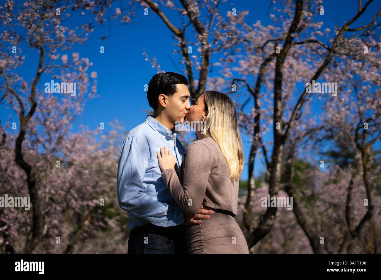Romantic couple kissing amidst blossoming trees in a sunlit orchard, enjoying a tender moment of ...