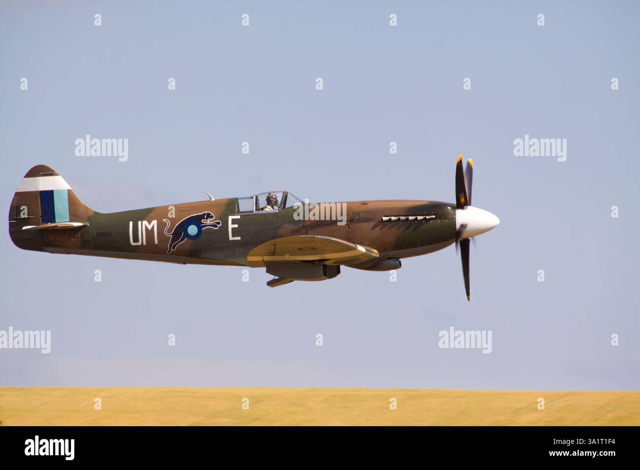 low flying Supermarine Spitfire PR.XIX, PS890 Stock Photo - Alamy