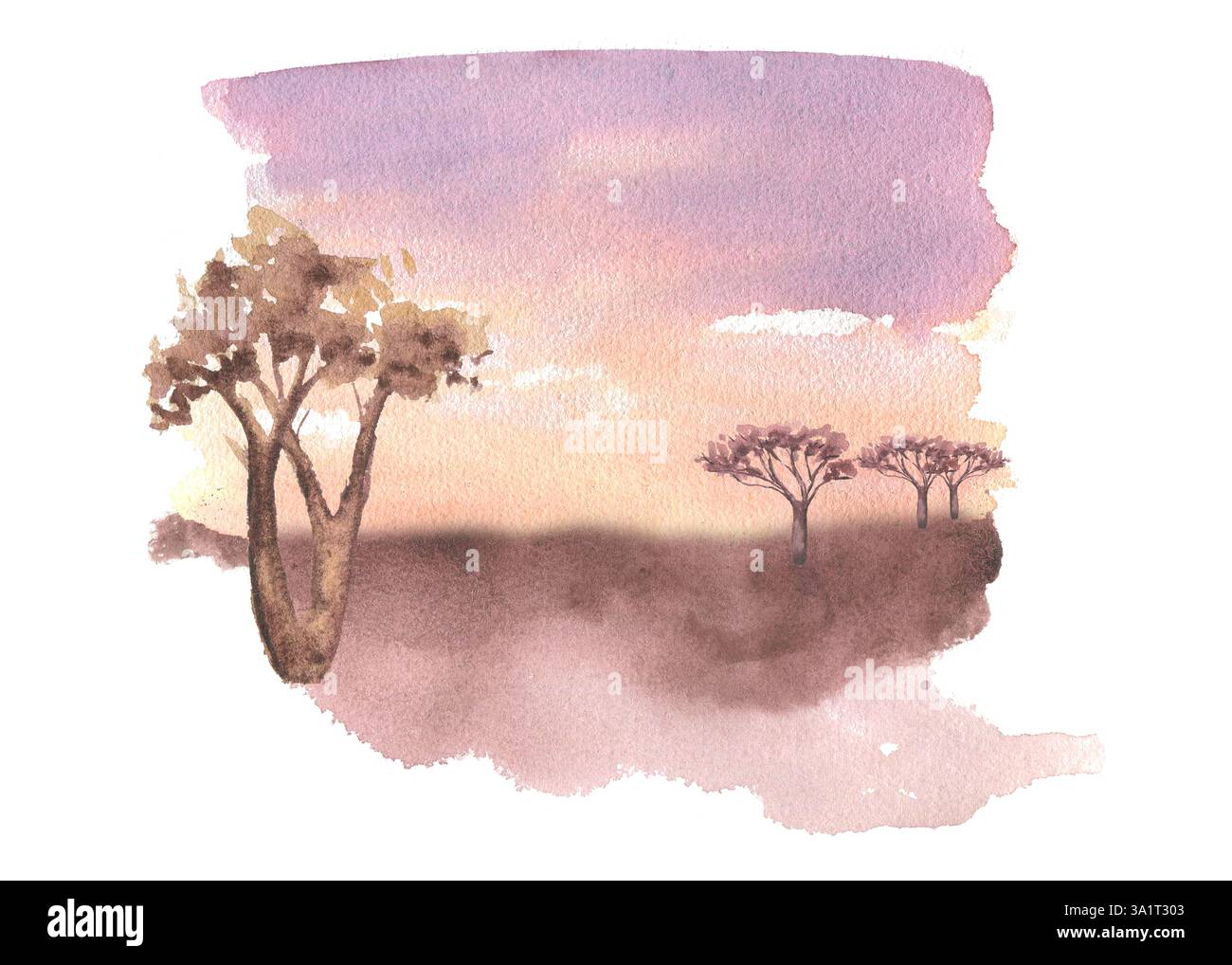 Acacia trees sunset watercolor illustration isolated. Exotic African ...