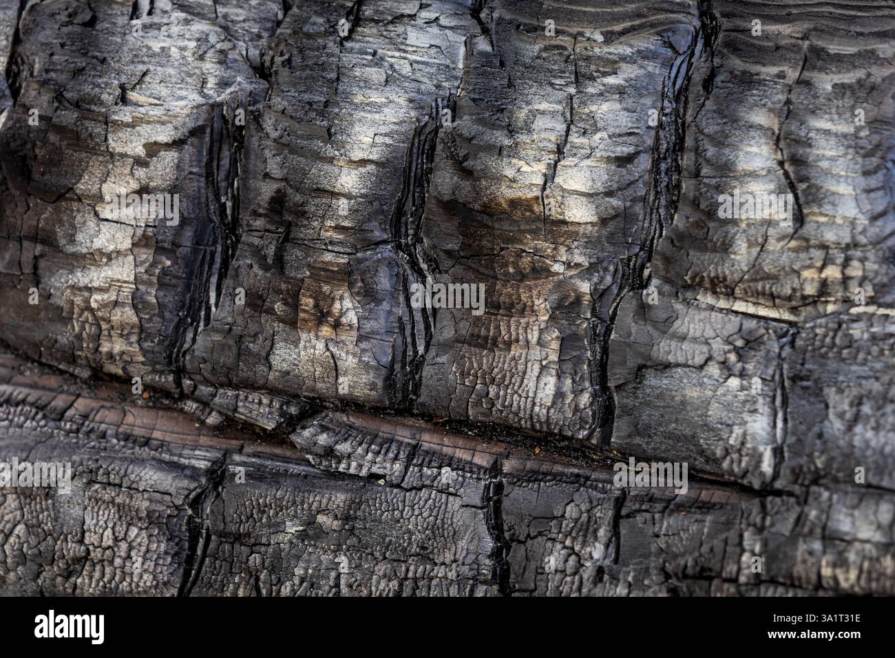 Carbonization effect hi-res stock photography and images - Alamy
