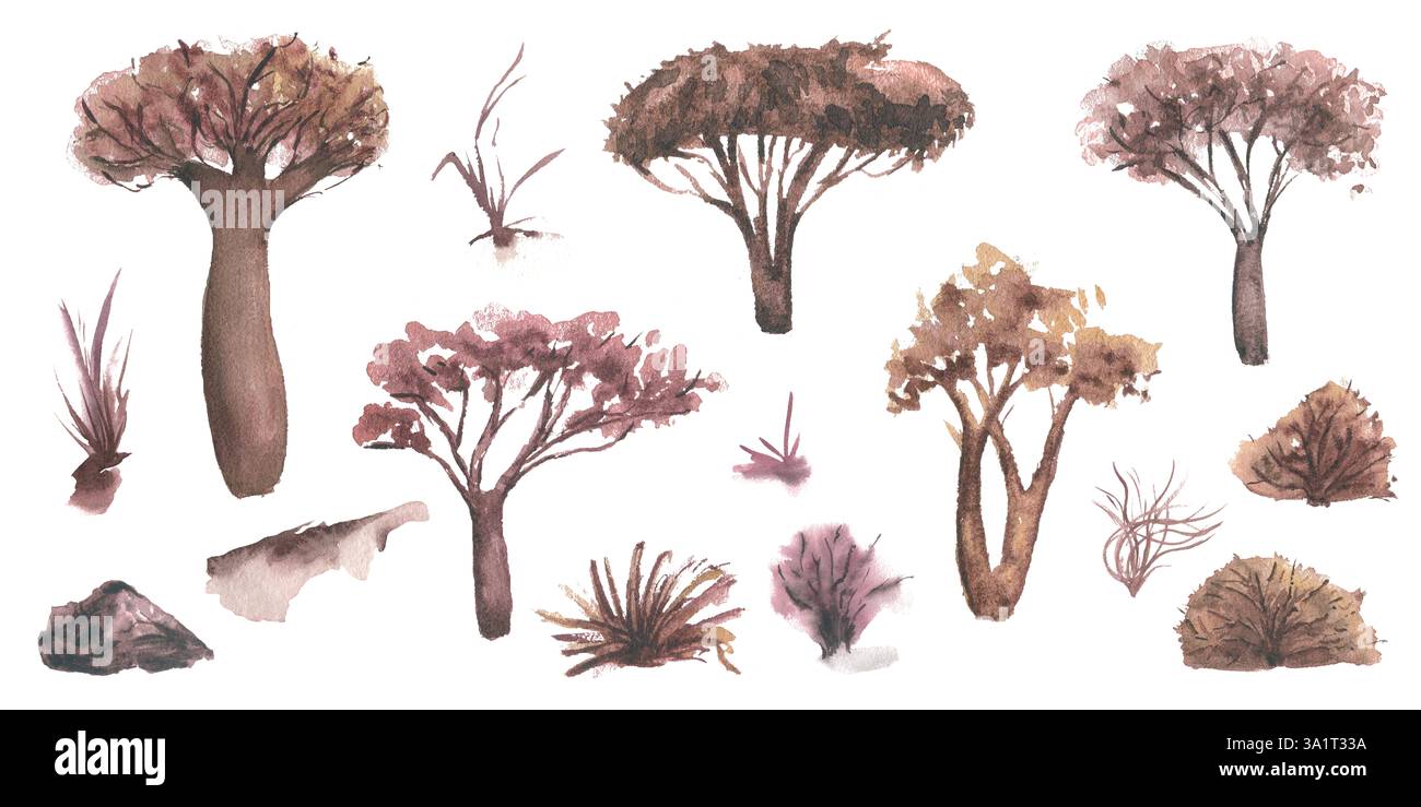 Trees and bushes from the African savanna hand drawn watercolor ...