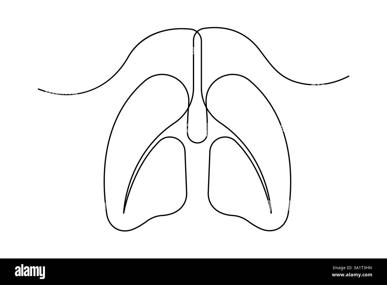 Anatomical human lungs continuous one line drawing vector illustration ...