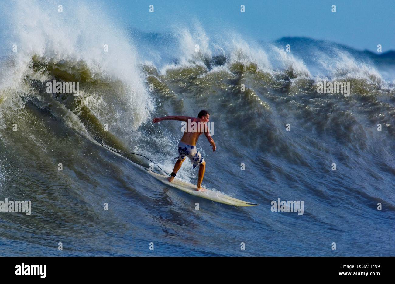 Texas surfer drops in on cresting 12’ wave Stock Photo - Alamy