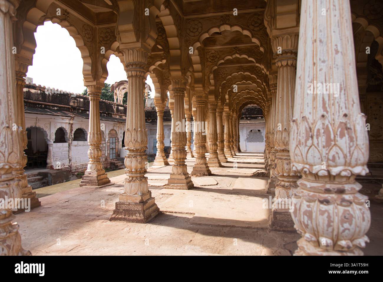 Jodhpur, Rajasthan, India - 8-17-2022: Maha Mandir Temple with ornate ...