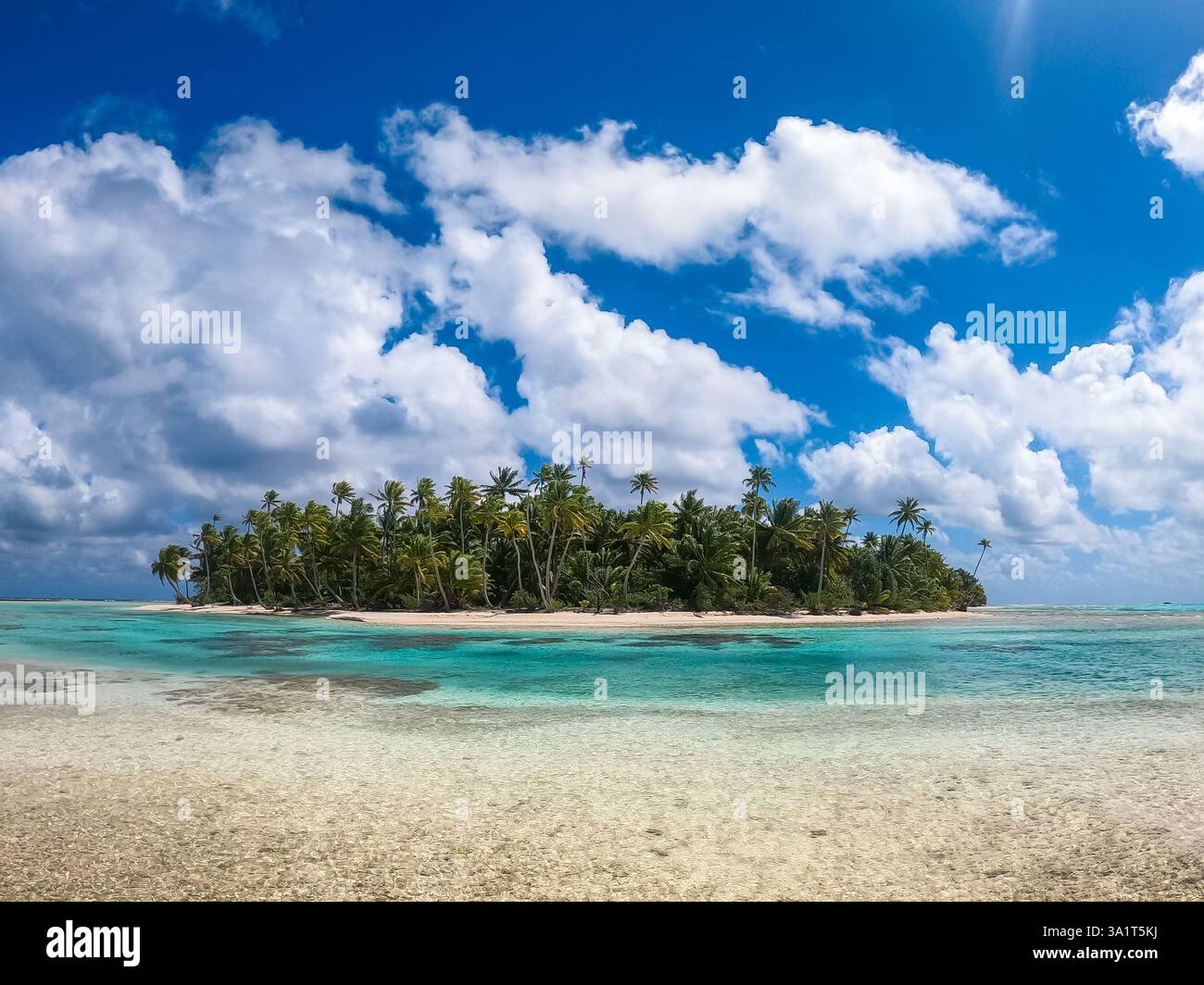 A stunning motu on Tikehau Atoll, French Polynesia, featuring lush palm ...