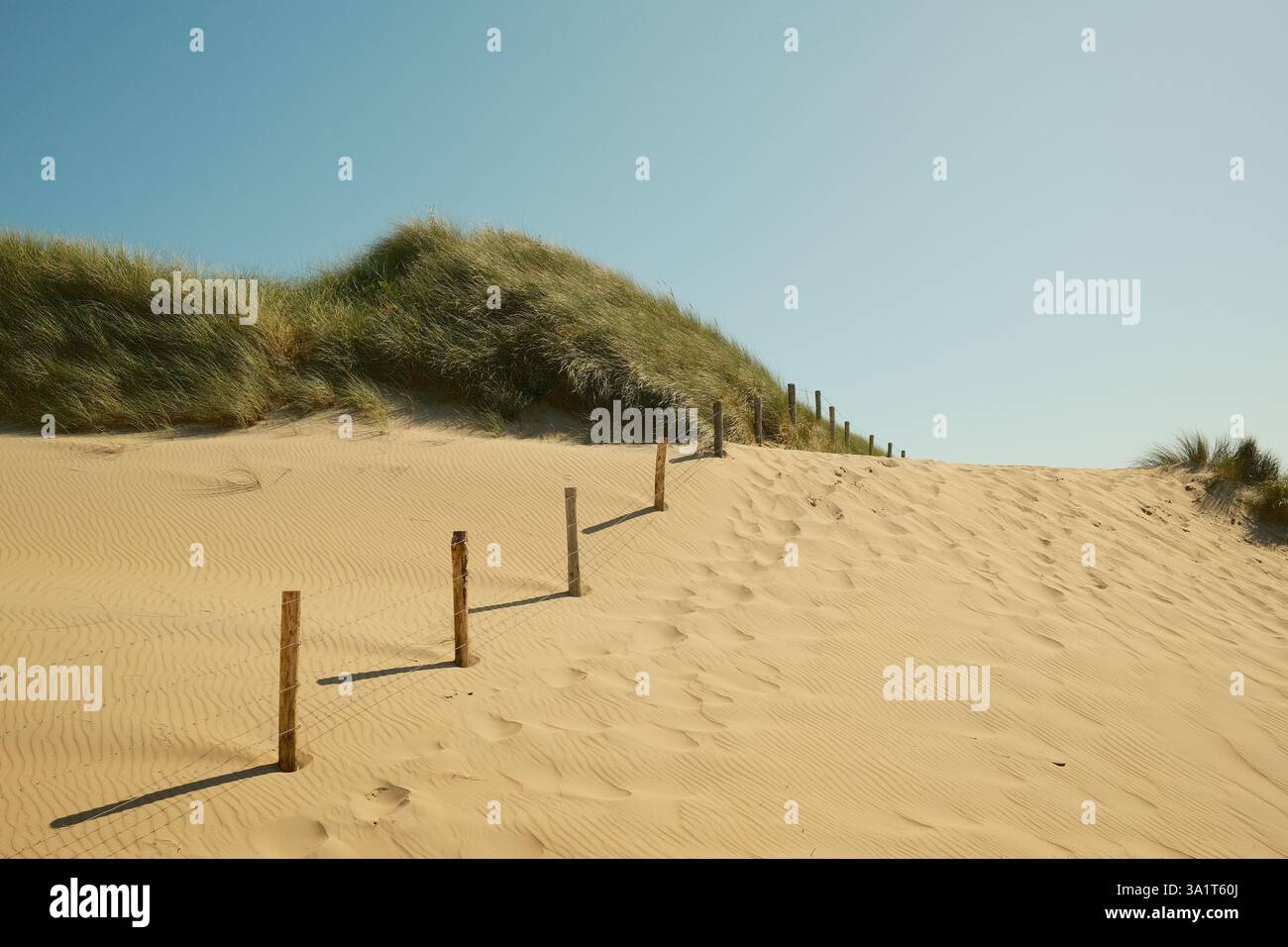Sand dune landscape with wooden fence posts Stock Photo - Alamy