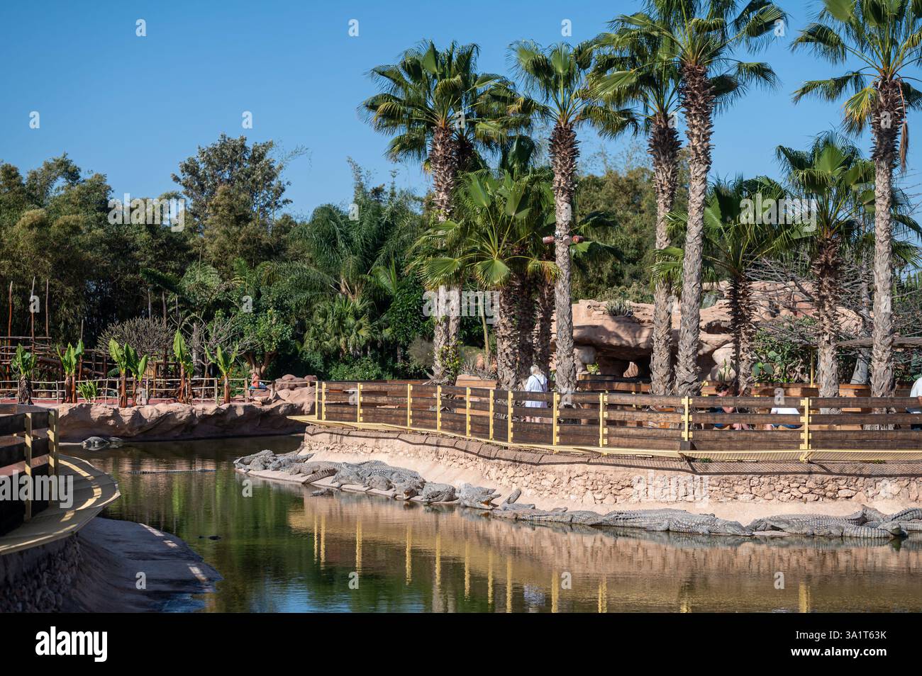 Agadir, Morocco - February 21, 2025: Explore the lush greenery at ...