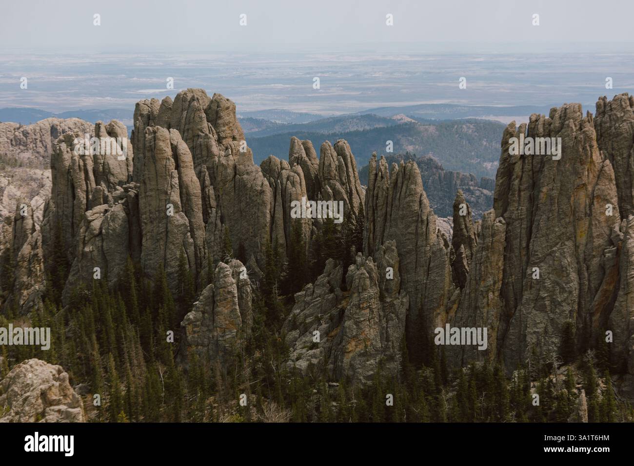 Jagged rock formations rise above forests in the Black Hills Stock ...