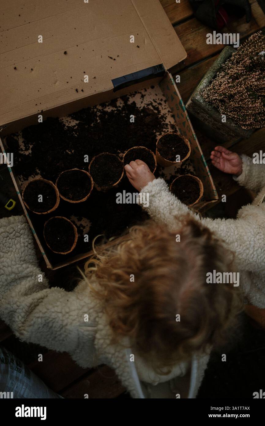 Children planting seeds together in biodegradable pots outdoors Stock ...
