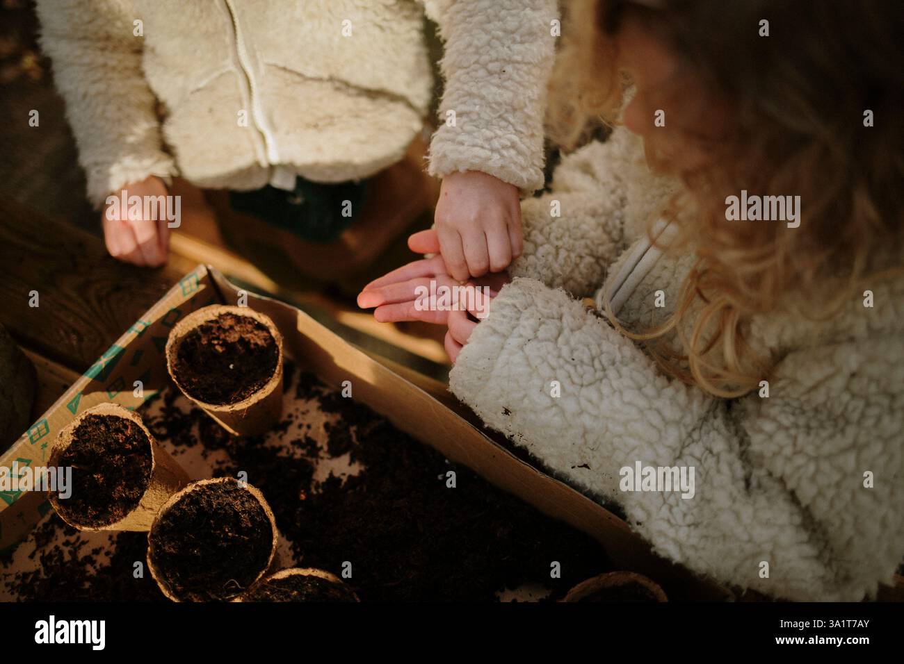 Children planting seeds together in biodegradable pots outdoors Stock ...