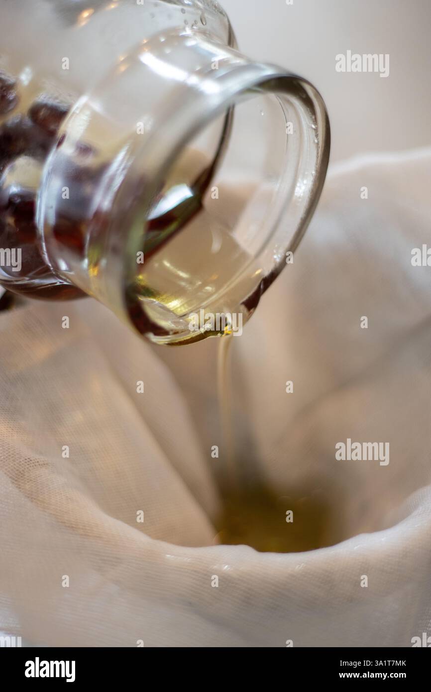 Pouring rosehip-infused sunflower oil through cheesecloth into a jar ...