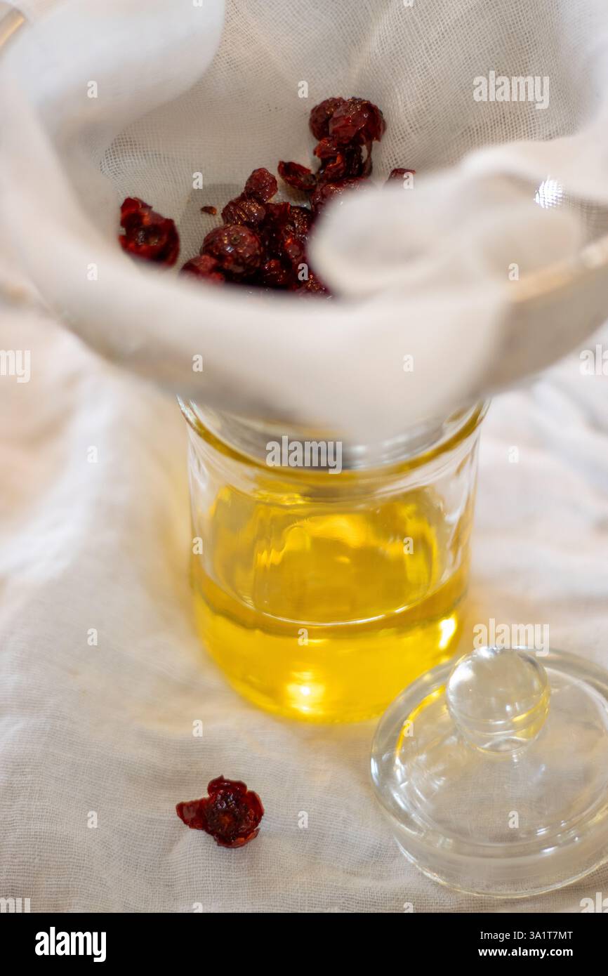 Oily dried rosehips in cheesecloth with infused sunflower oil in jar ...