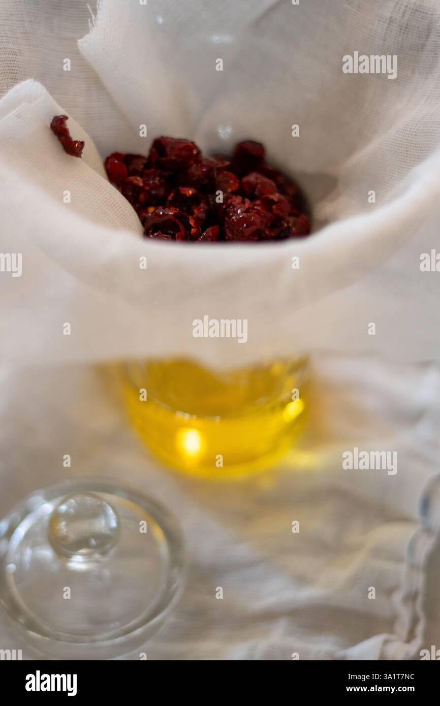 Dried rosehips in cheesecloth with infused oil dripping into jar Stock ...