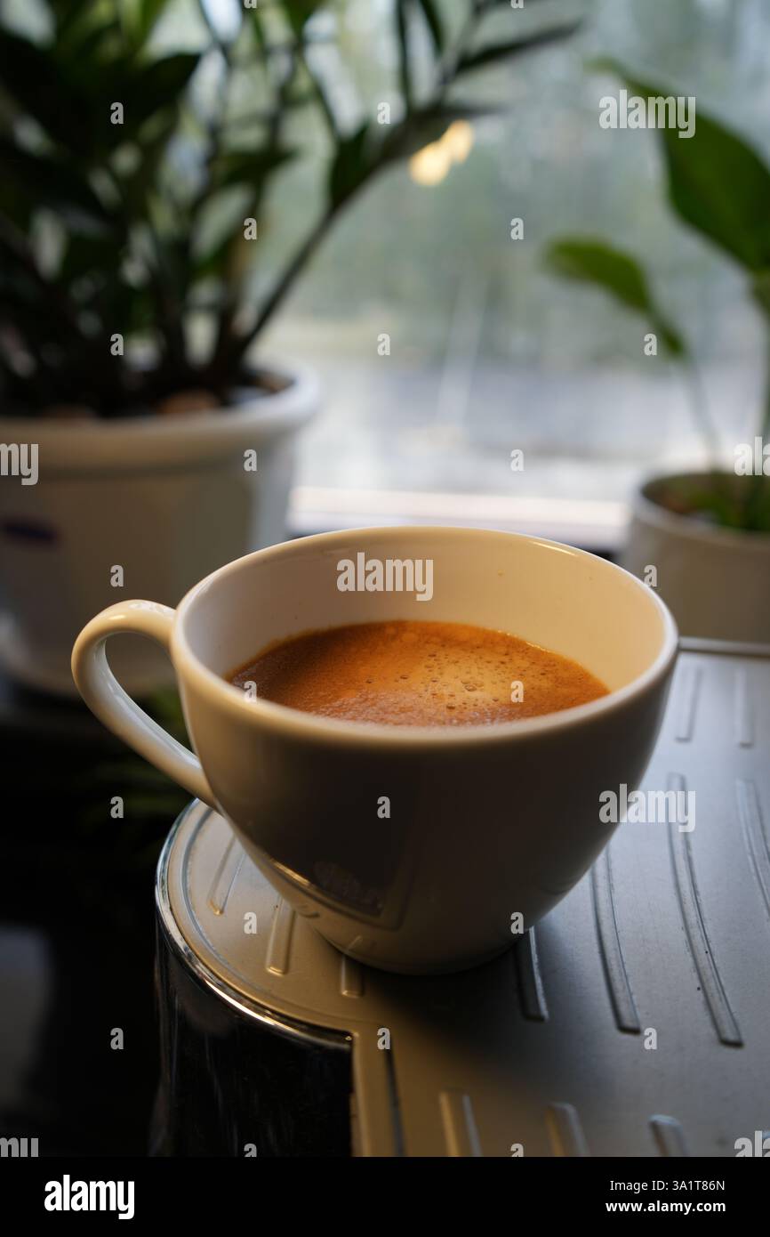 Good morning nice day hi-res stock photography and images - Alamy