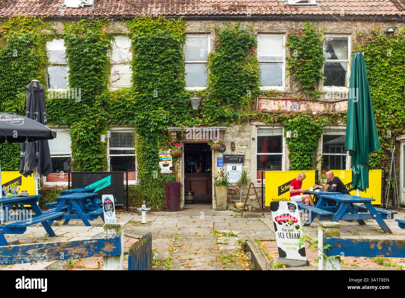 The Jolly Sailor beer garden, Saltford, Somerset, UK Stock Photo - Alamy