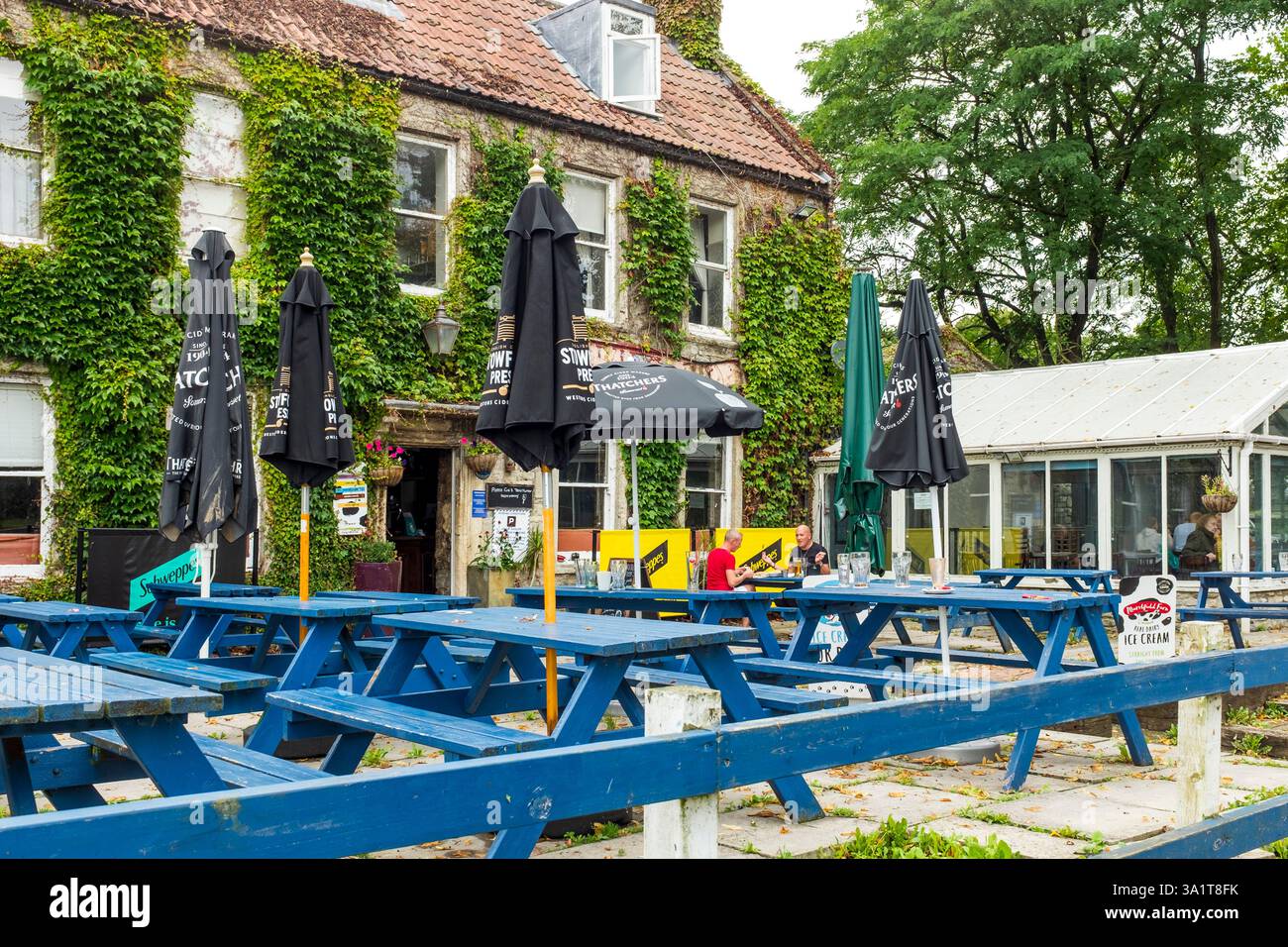 The Jolly Sailor beer garden, Saltford, Somerset, UK Stock Photo - Alamy