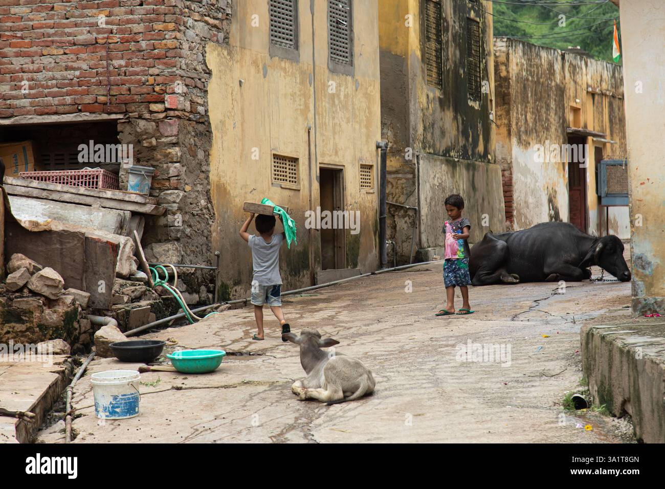 Jaipur, Rajasthan, India - 8-17-2022:indian kids playing in downhill of ...
