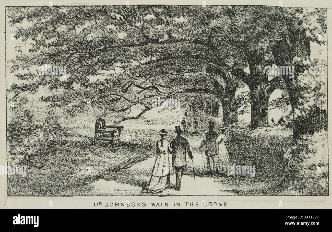 Dr Johnson's Walk in the Grove at Alexandra Palace, 19th century Stock ...