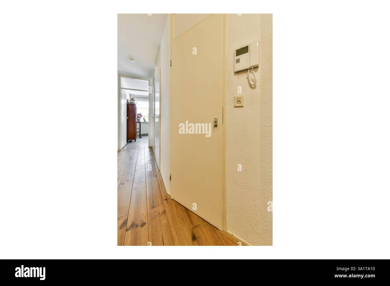 A sleek and stylish interior hallway featuring wooden flooring, light ...