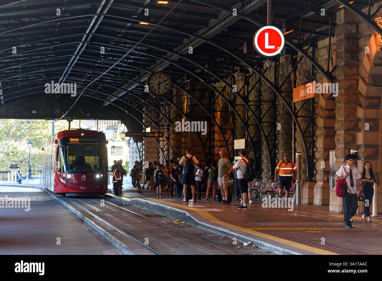 Sydney Light Rail Line 1 stopped at Central Station Stock Photo - Alamy