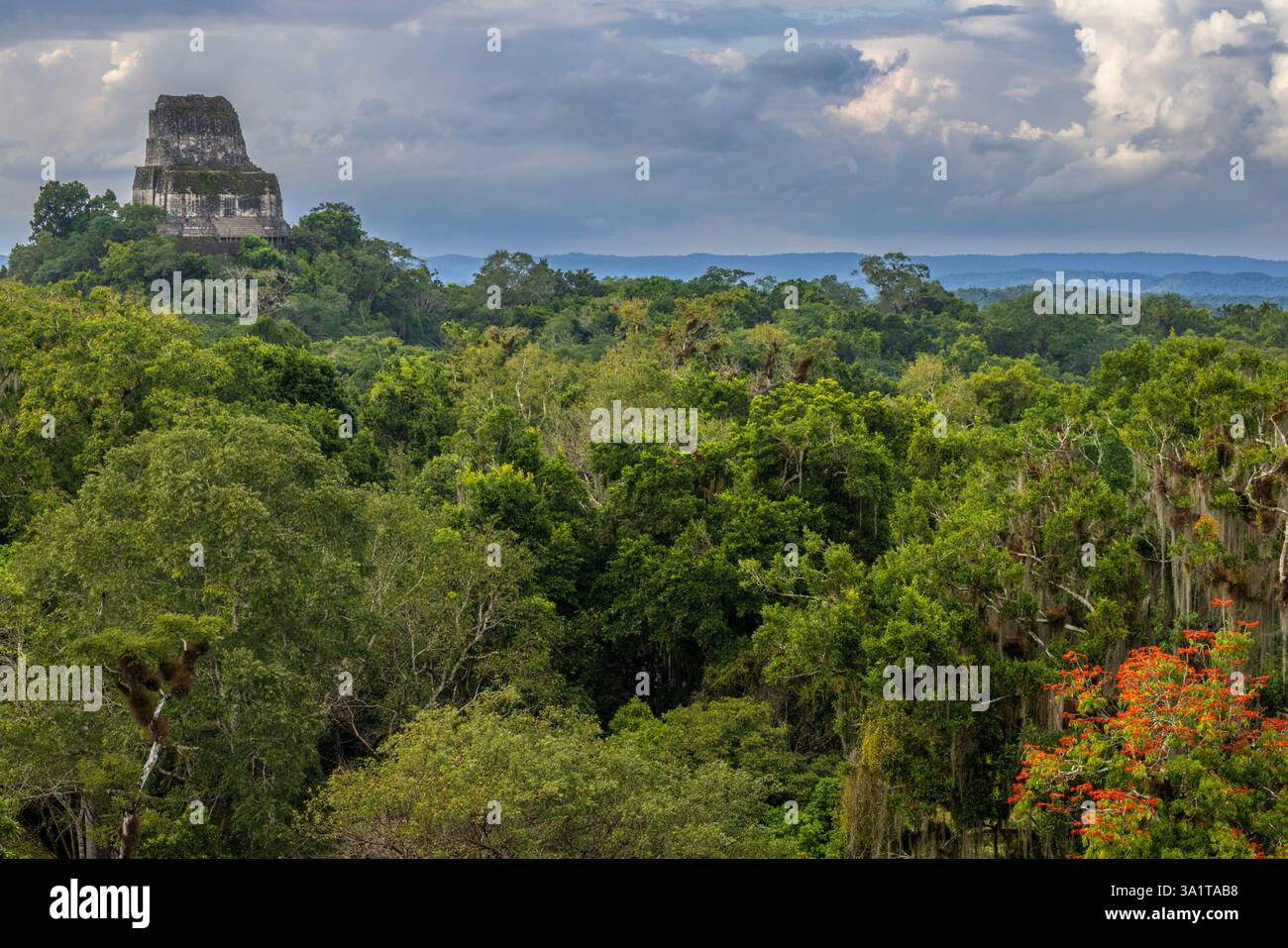 Mayan Temple IV emerging from the jungle at Tikal National Park Stock ...