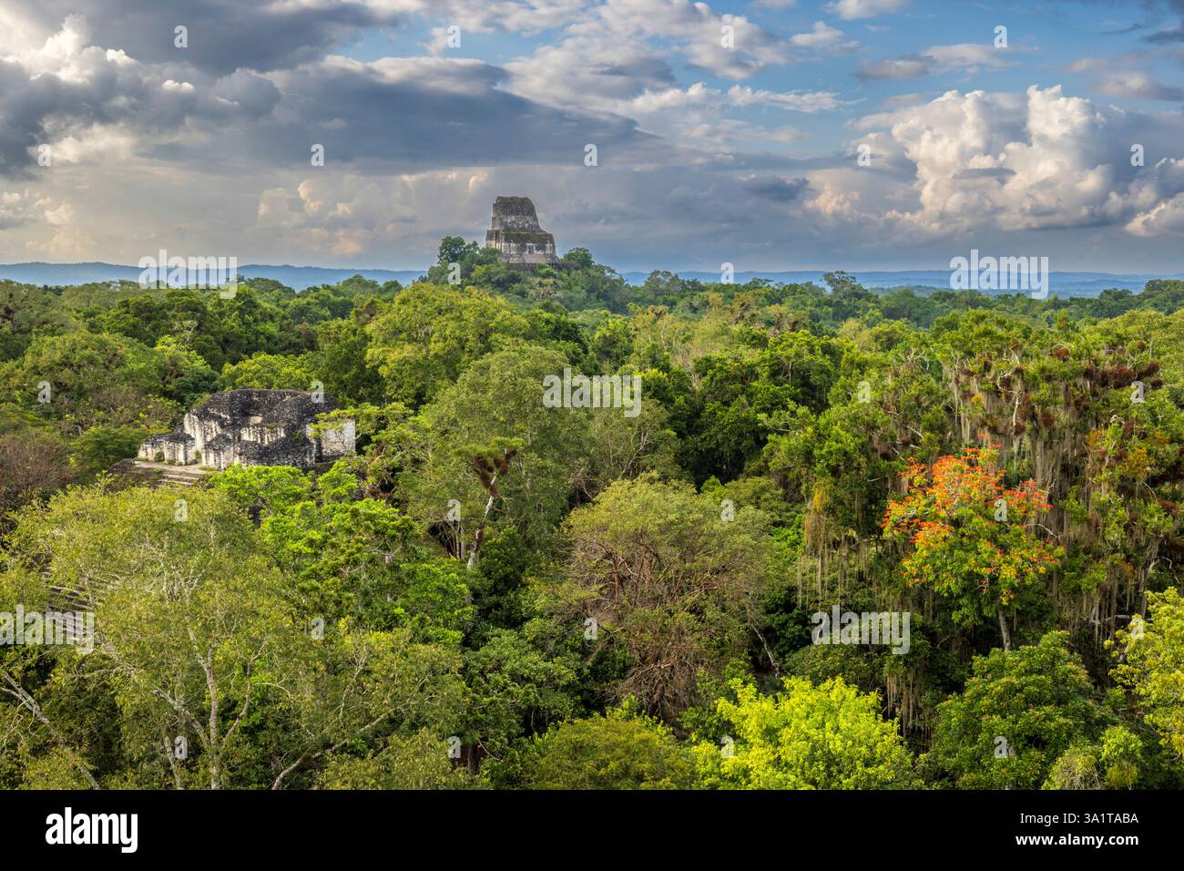Mayan Temple IV emerging from the jungle at Tikal National Park Stock ...