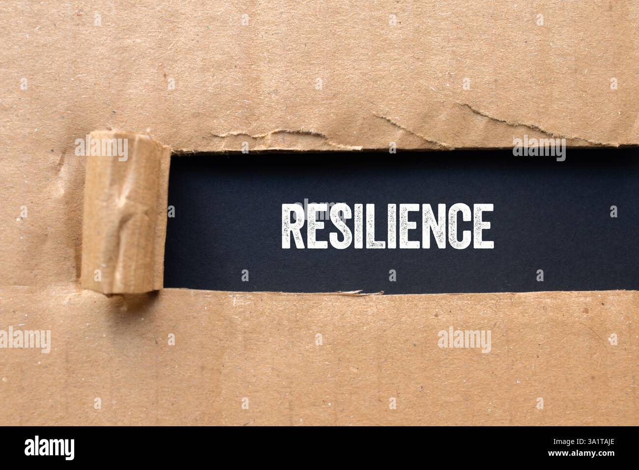 Resilience message written on ripped torn cardboard paper on black background. Conceptual ...