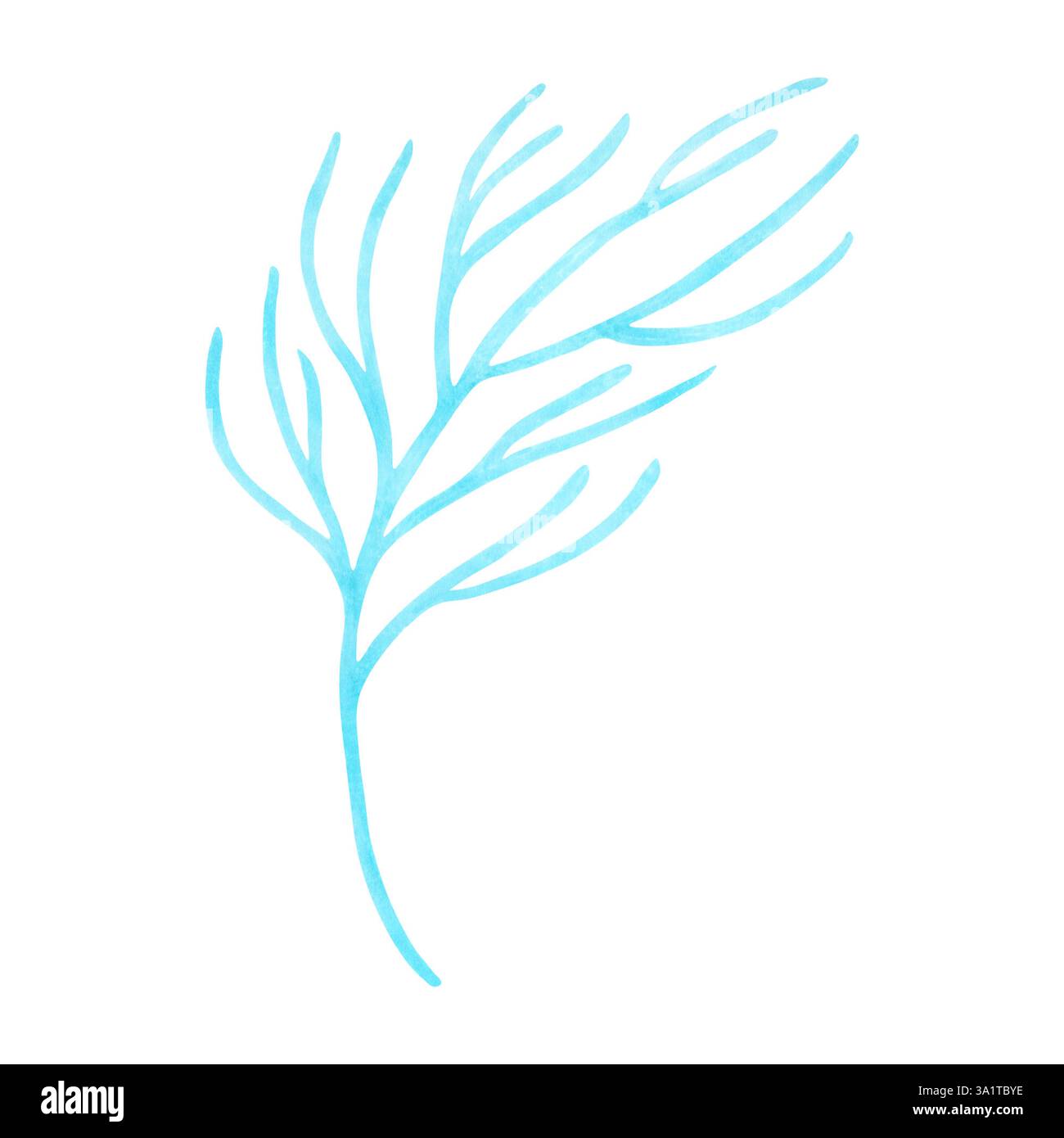 Coral reefs protection Cut Out Stock Images & Pictures - Alamy