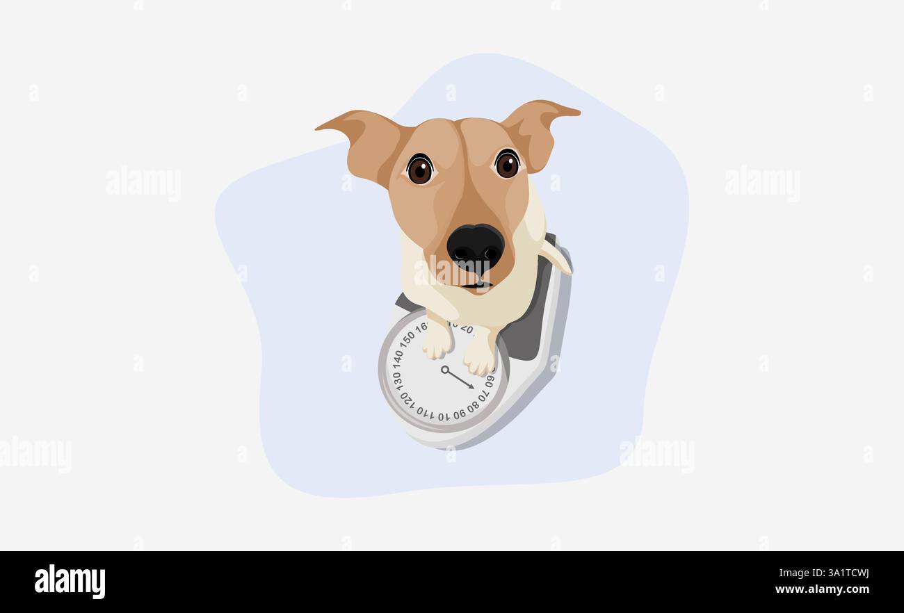 Top view weight loss Stock Vector Images - Alamy