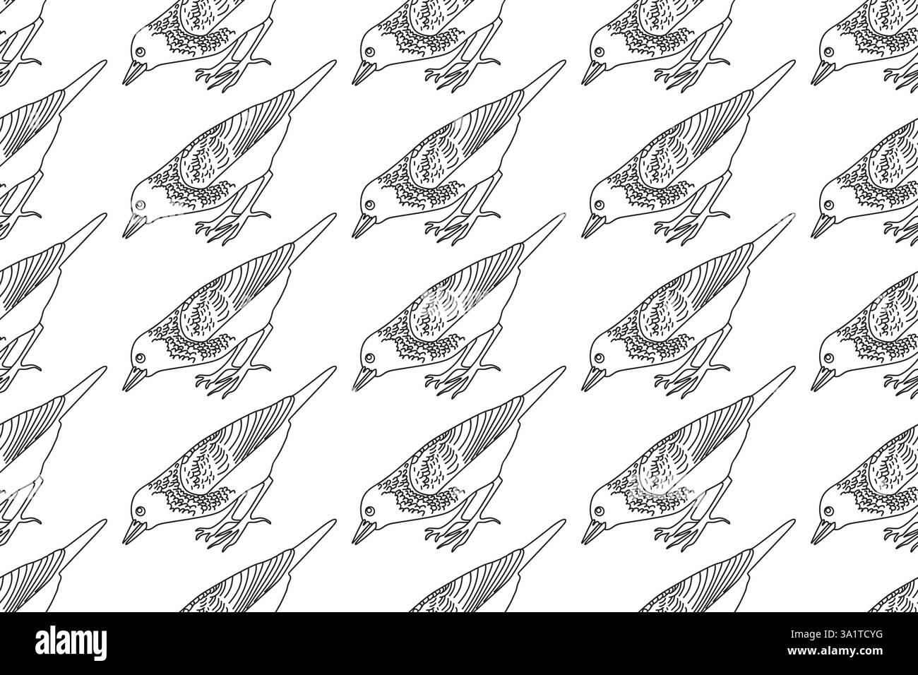 Line art seamless pattern with garden birds vector illustration. Hand ...