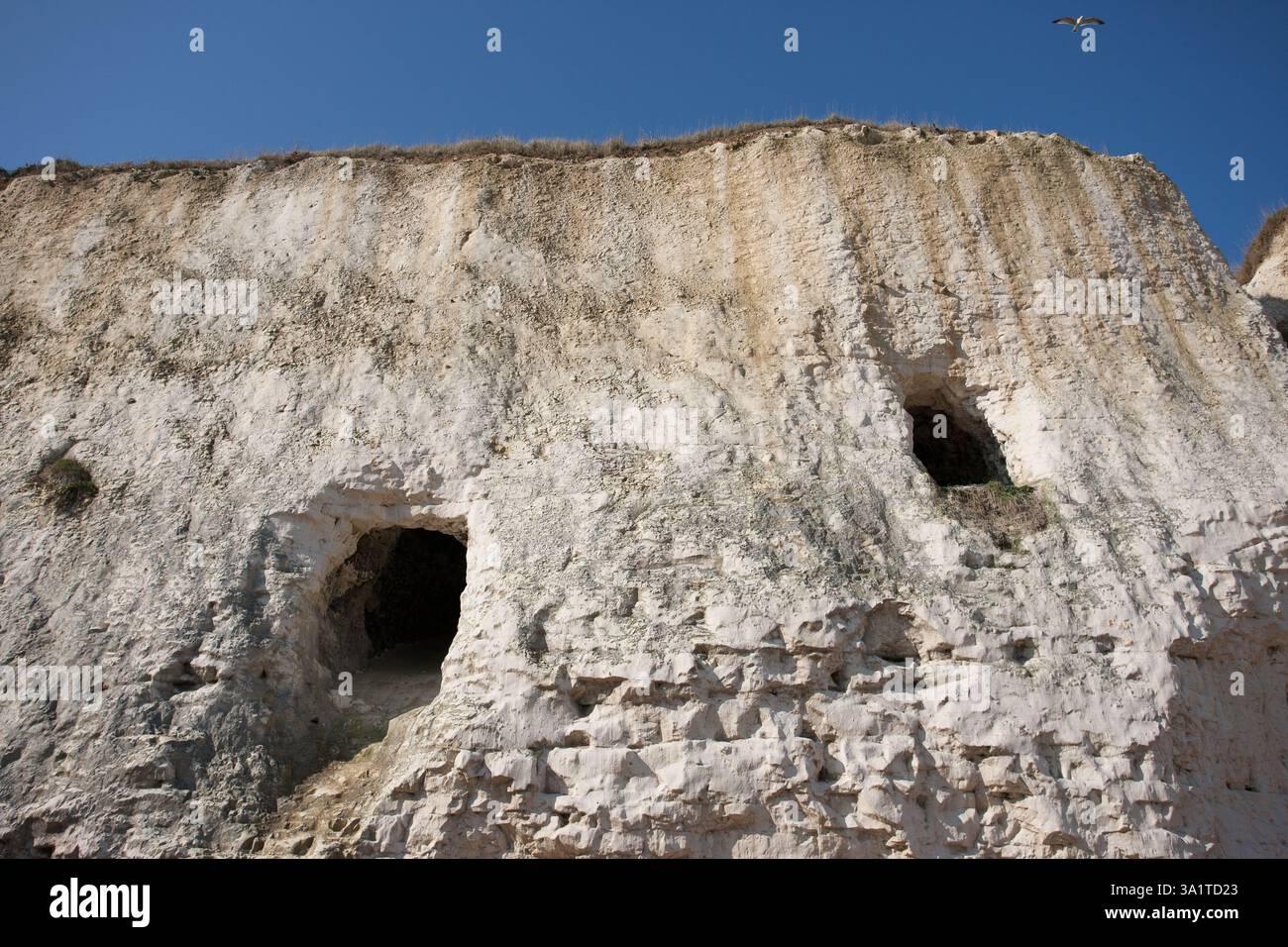 Botany Bay beach Stock Photo - Alamy