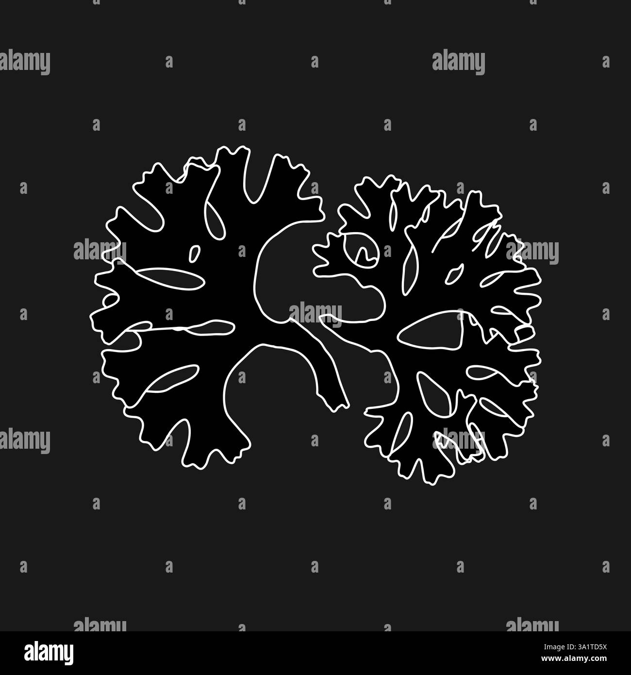 Hand drawn Edible Tohsaka red Seaweed salad algae graphic illustration ...