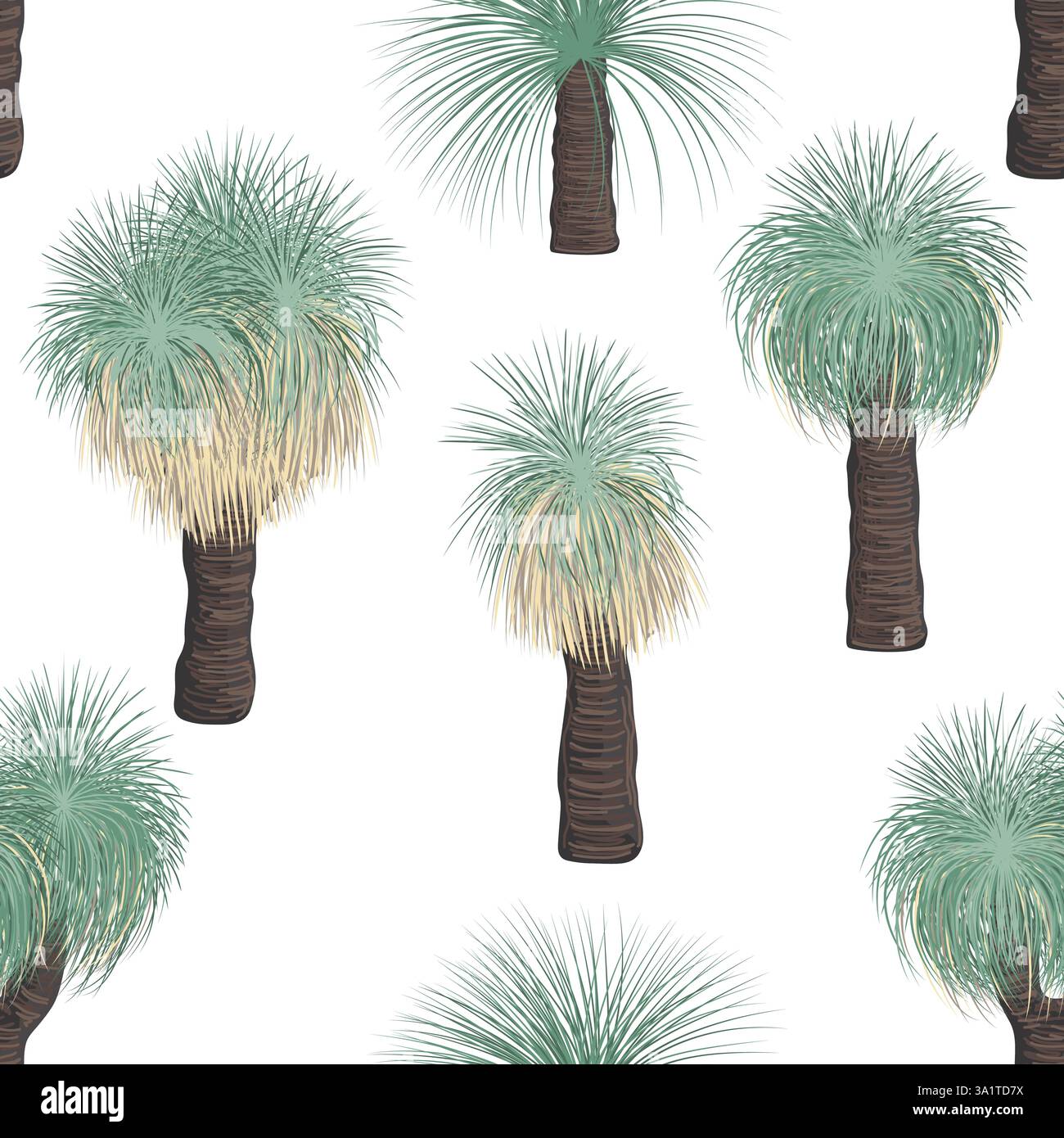 Xanthorrhoea tree seamless pattern. The Grass tree, native Australian ...