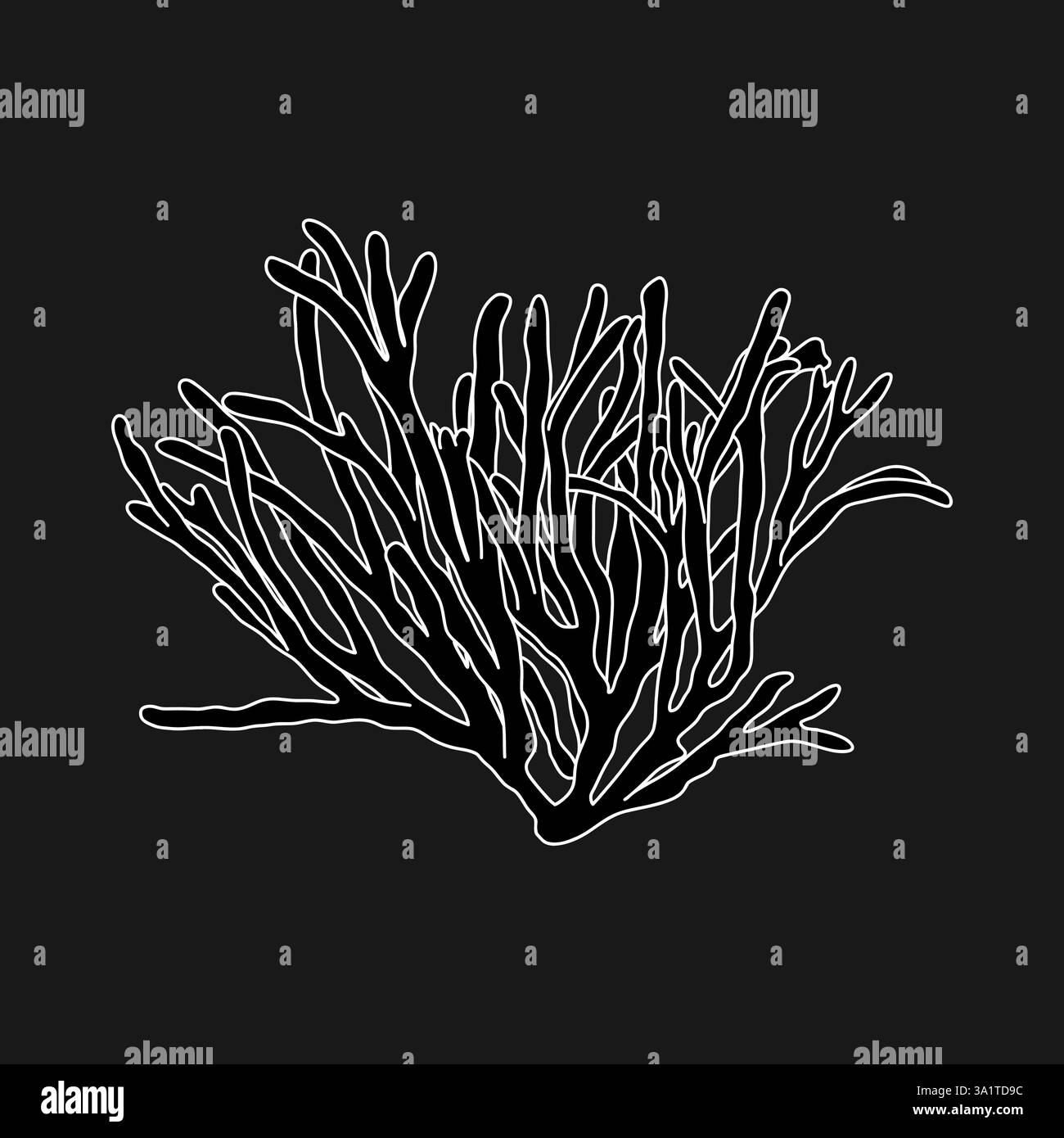 Hand drawn Velvet horn or spongeweed seaweed Codium tomentosum algae ...