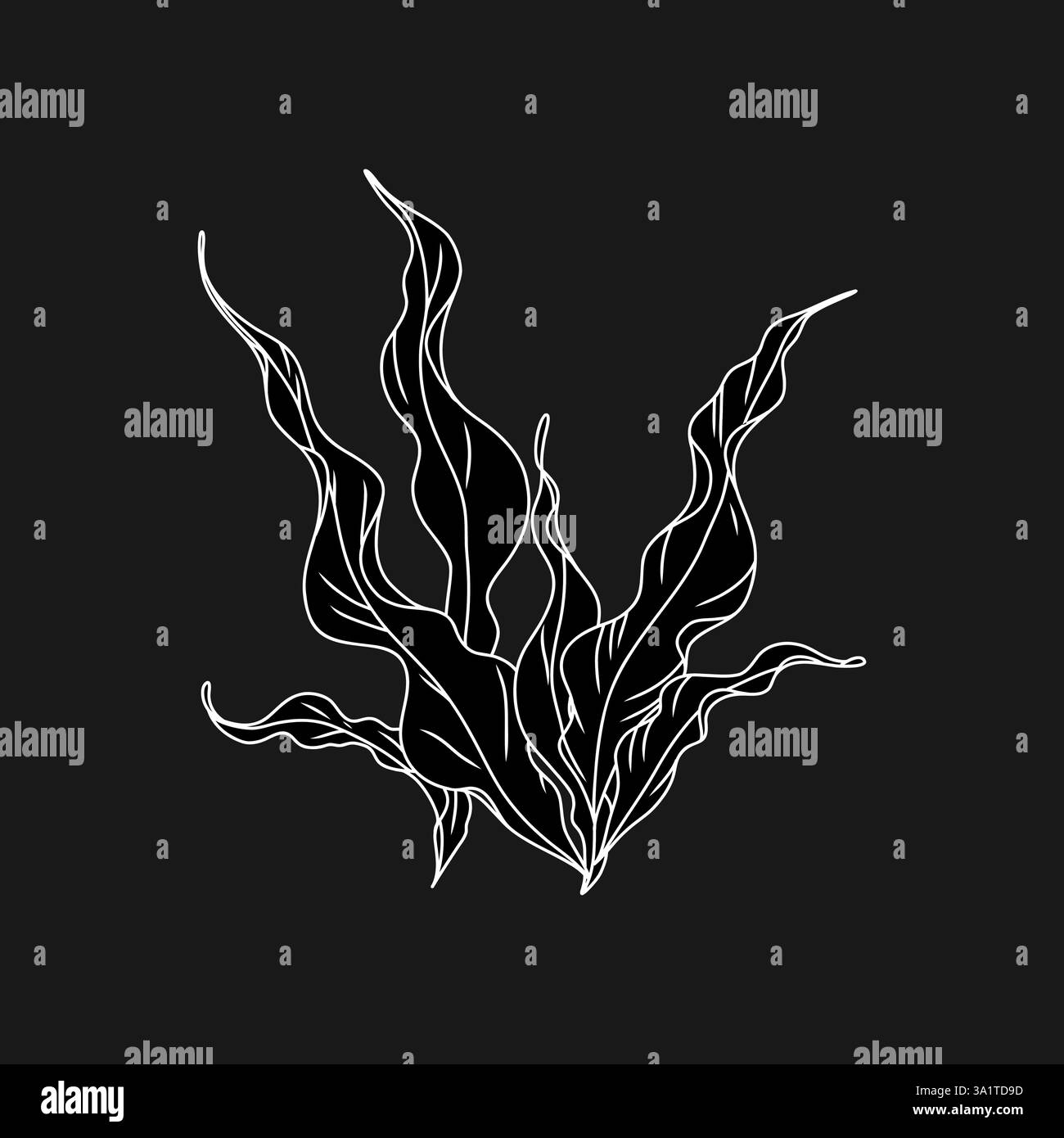 Hand drawn green seaweed algae graphic illustration. Natural drawing ...