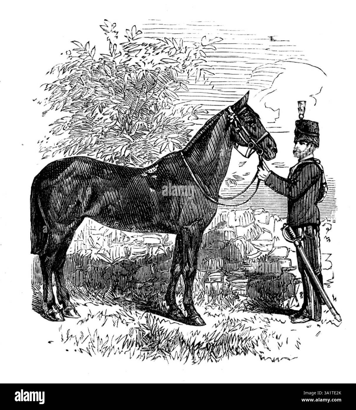 The Balaclava Mare, presented to Her Majesty, 1873. 'The Battle of ...