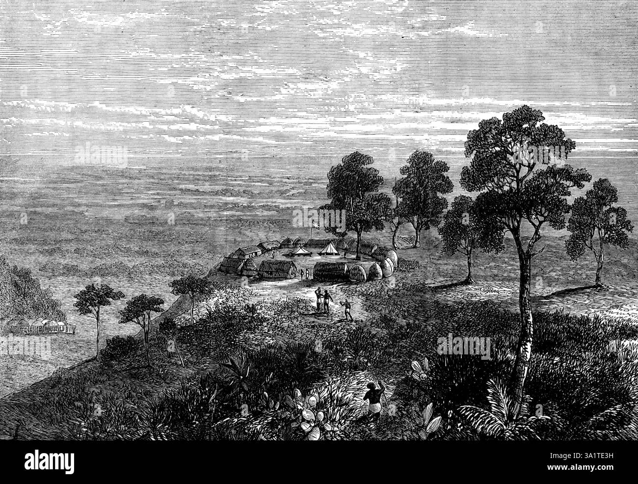 Dr william edward dillon hi-res stock photography and images - Alamy