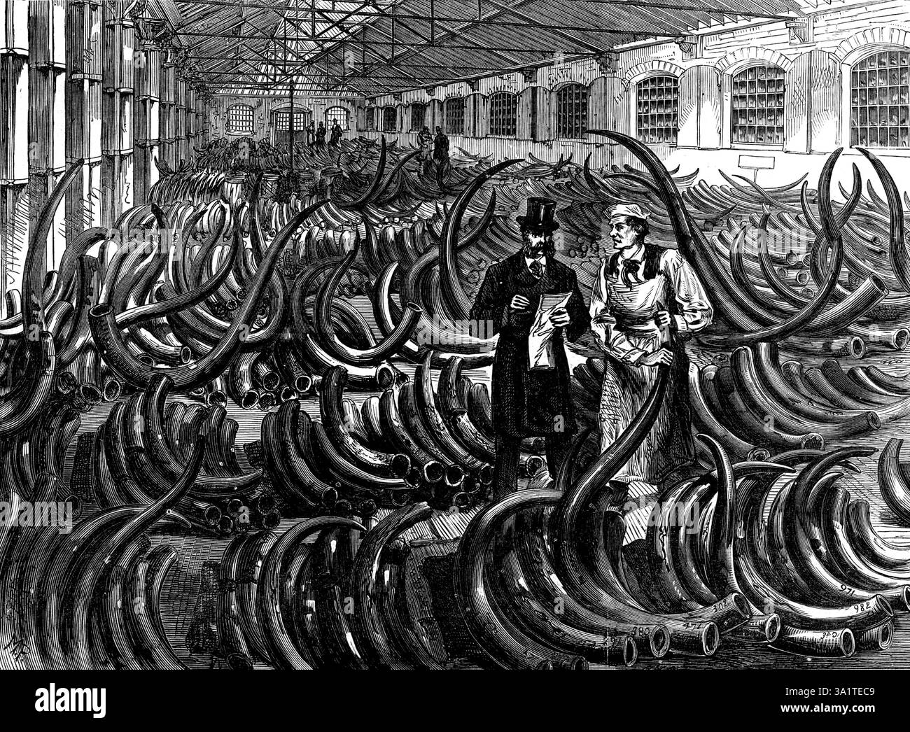 Complete manual Black and White Stock Photos & Images - Alamy