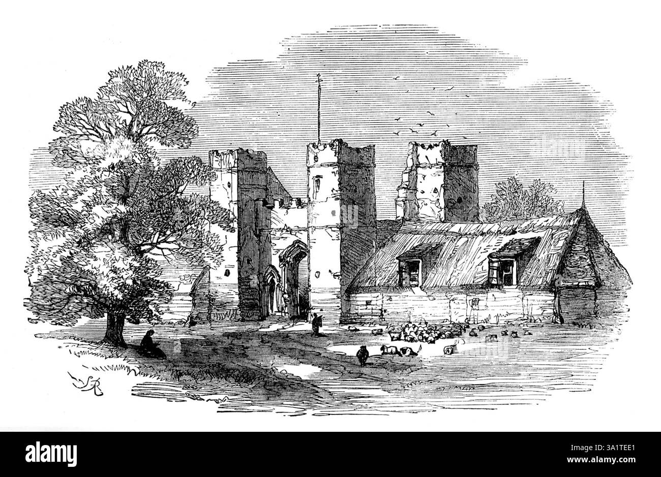 The Isle of Thanet [in Kent]: Daundelion, 1873. 'That corner of Kent ...