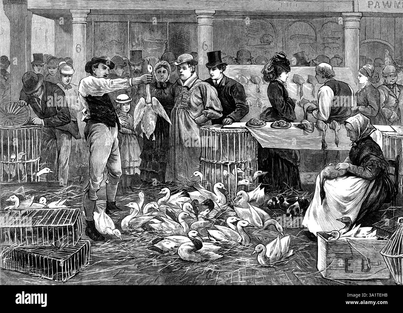 A Michaelmas Goose Fair, 1873. 'That the goose is a Michaelmas bird we ...