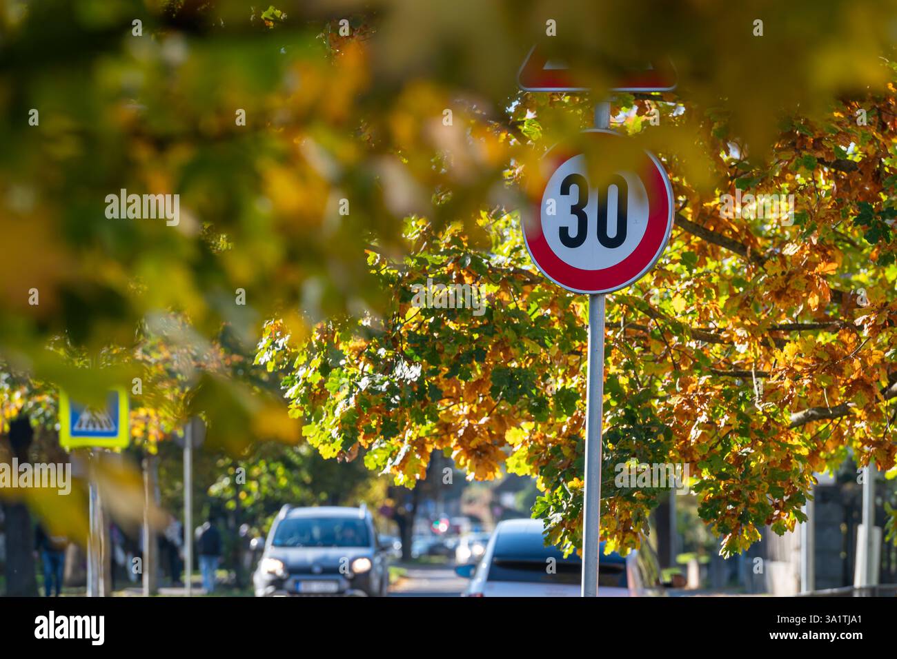 Traffic signs indicating a speed limit of 30 in an autumn street scene ...